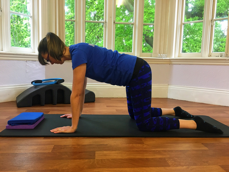 Physio 2 Pilates | How to Manage Low Back Pain with Exercise