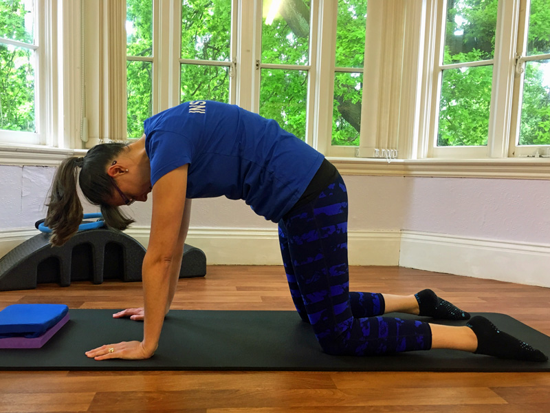 Physio 2 Pilates | How to Manage Low Back Pain with Exercise